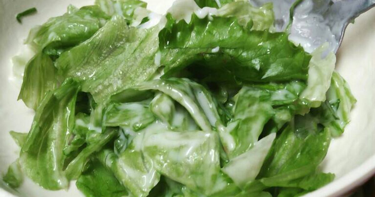 Easy Lettuce Breakfast Recipes: Fresh & Tasty Starts