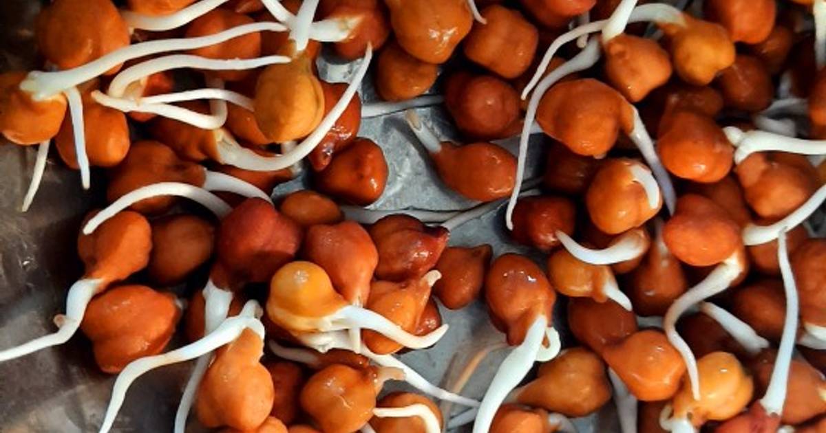Homemade Black gram sprout Recipe by Naheed Alam - Cookpad