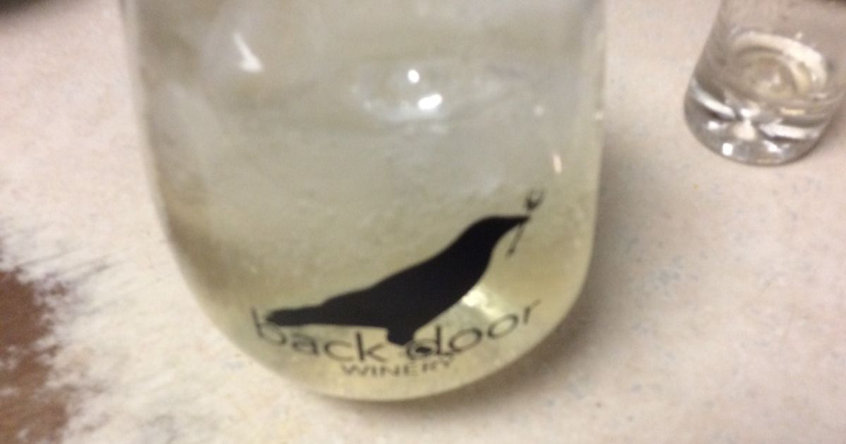 Mango Gin & Tonic Recipe By Katatonickat