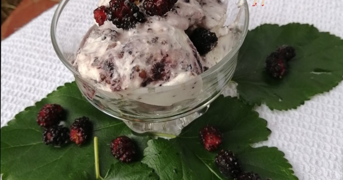 Mulberry Ice Cream Recipe by Kim Maroney - Cookpad
