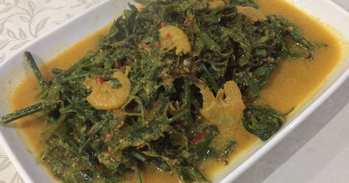 Resep Gulai Paku (Pakis) oleh Sri Rejeki - Cookpad