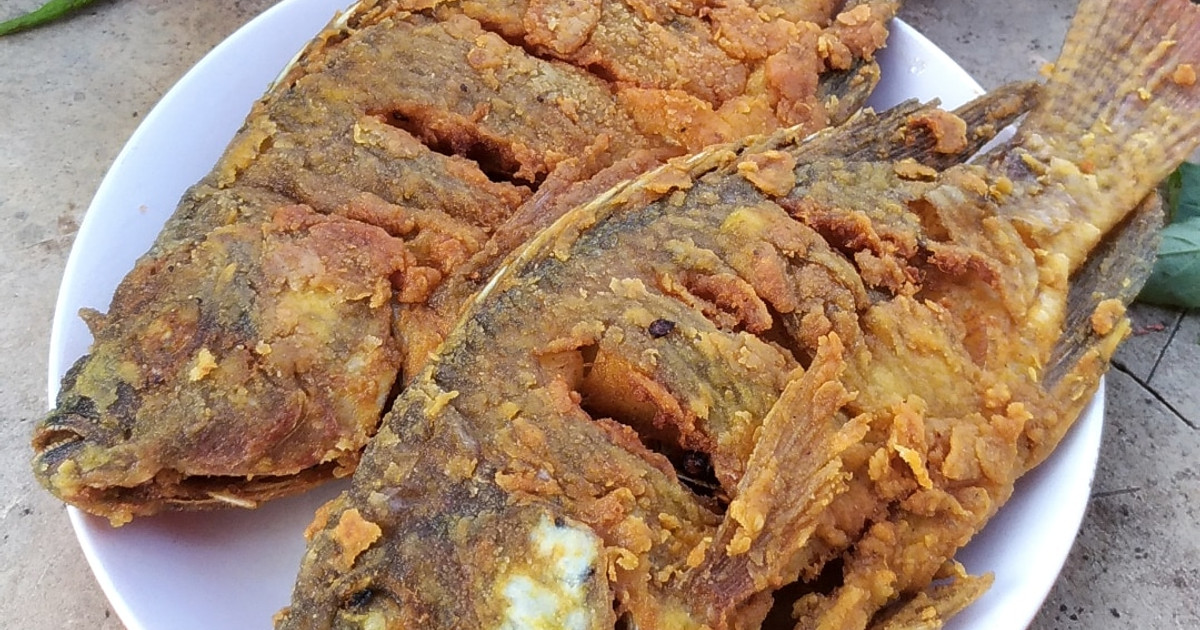 Resep Mujaer/Nila Goreng Bedak Alias Tepung oleh Karya Andini - Cookpad
