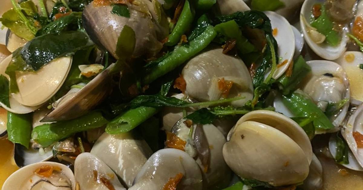 รวมสูตรหอยตลับ หลากหลายรสชาติ พร้อมวิธีทำง่ายๆ อร่อย ไม่คาว