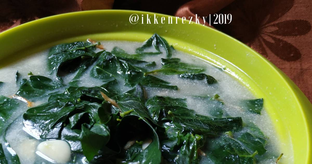 134 resep sayur daun katu penambah asi enak dan sederhana - Cookpad