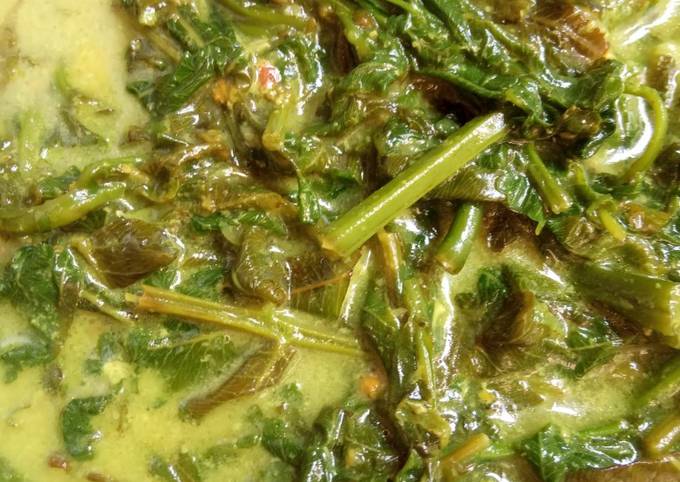 Resep 8. Gulai Pakis oleh Dapur Hauraa - Cookpad