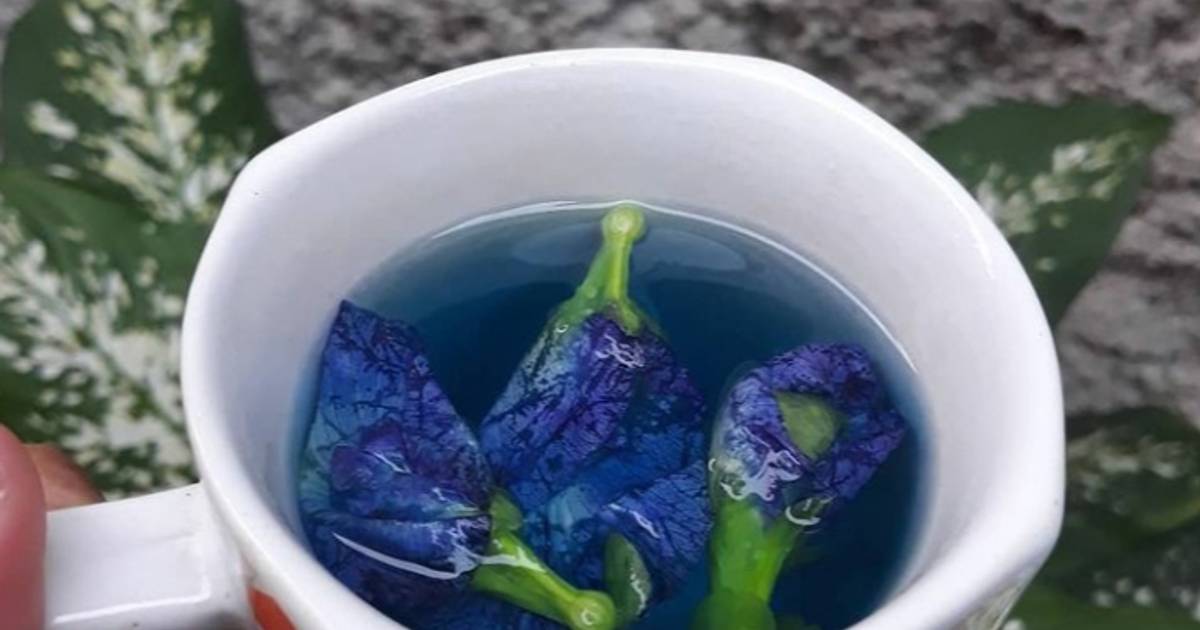 Resep Teh bunga telang oleh Chori Benazir - Cookpad