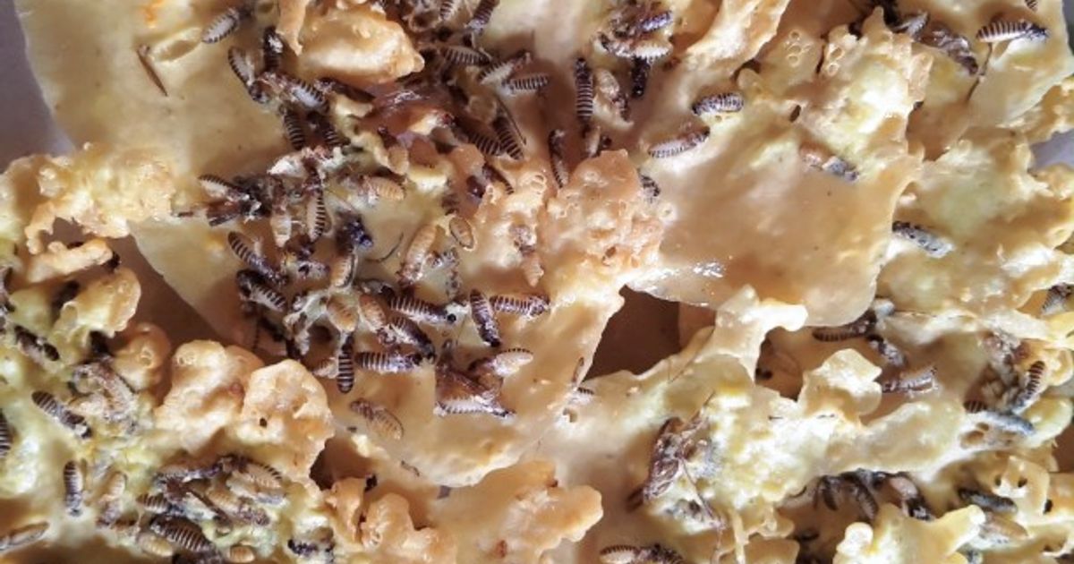 Resep Peyek Laron oleh Mirna BenyWidodo - Cookpad