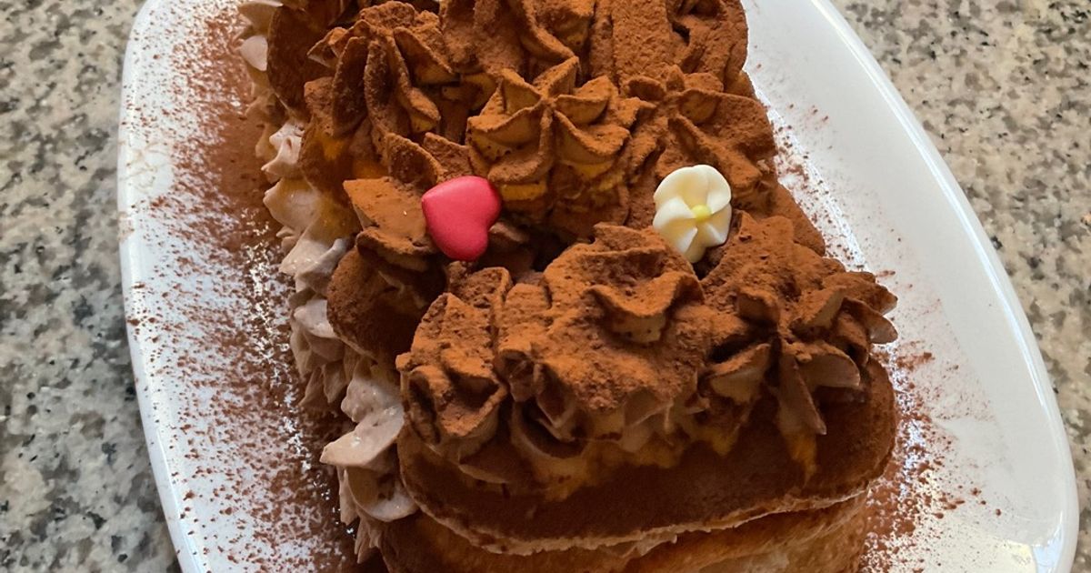 Recettes bûche tiramisu aux boudoirs: Dessert festif et facile