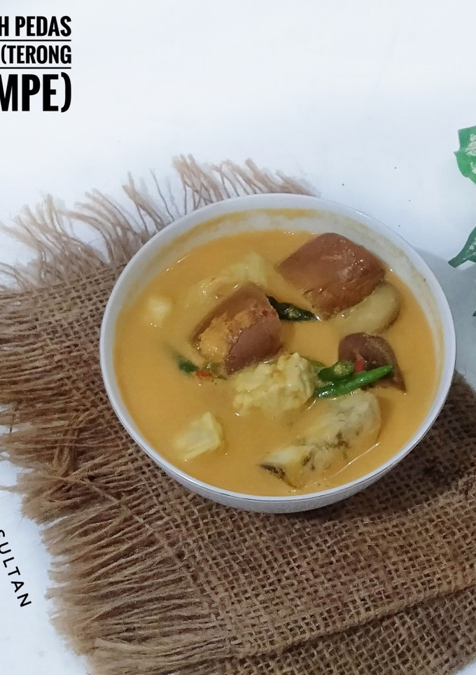 Resep Sayur Lodeh Pedas Jawa (Terong Tempe) oleh farida Sulthan 🇮🇩 (IG ...