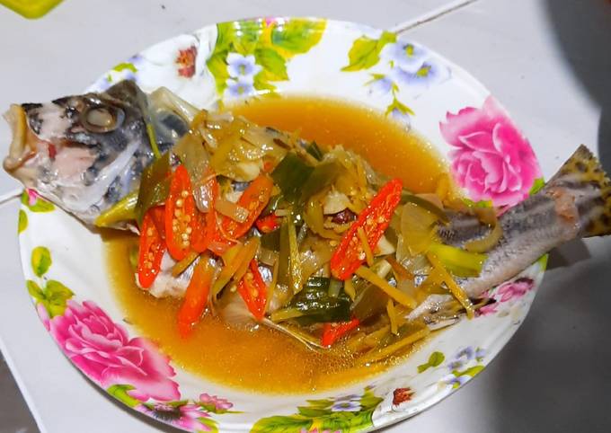 Resep Steam Ikan Kerapu oleh Raharsenaya Hutami - Cookpad