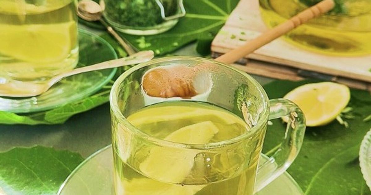 Ricetta Tisana Con Foglie Di Fico Essiccate di Paola Catalano - Cookpad