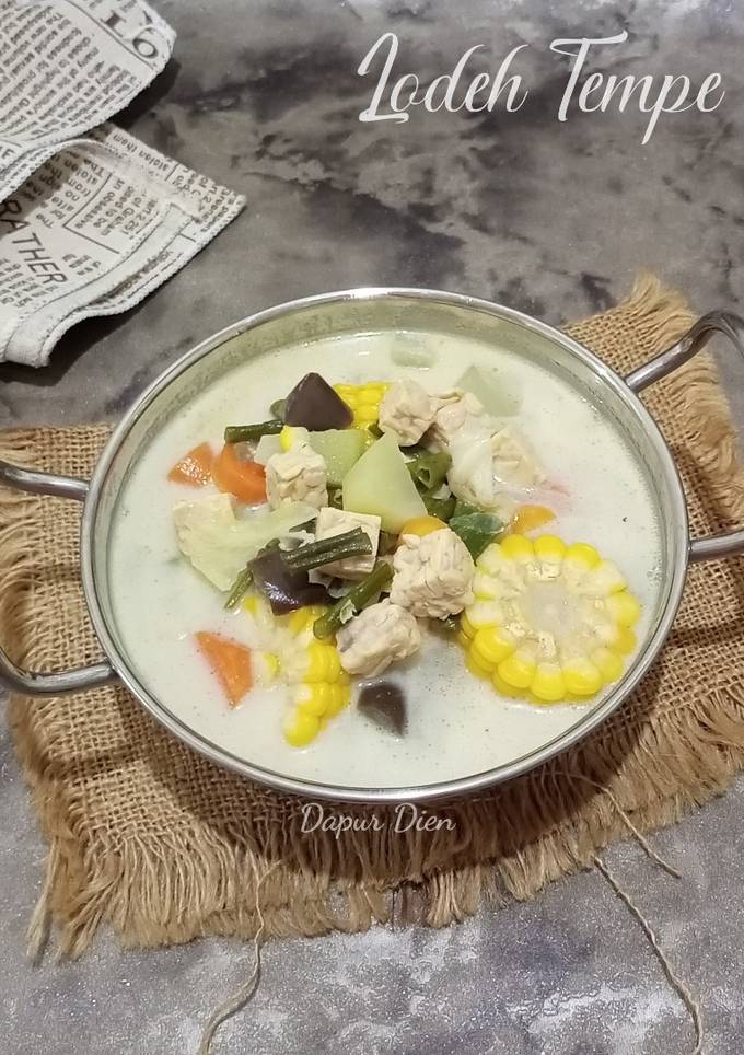 Resep Sayur Lodeh Tempe oleh Dapur Dien - Cookpad