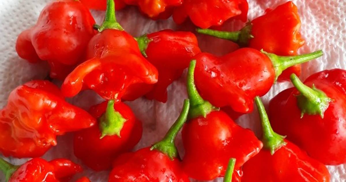 Ajies en vinagre - 2,515 recetas caseras- Cookpad