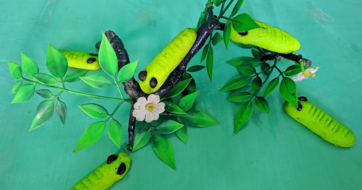 Resep Kue ulat susu empuk oleh Shofie Zu - Cookpad
