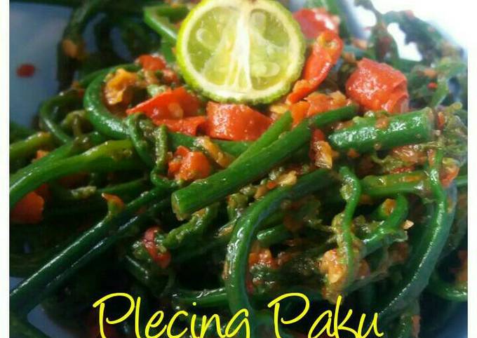 Resep Plecing Paku oleh Diah Surya - Cookpad