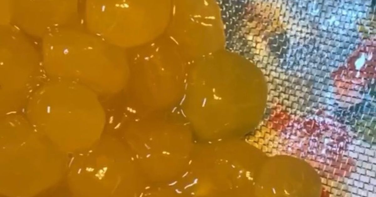 Mango Tapioca Pearls 𝓥 (𝙿𝚕𝚊𝚗𝚝 𝙱𝚊𝚜𝚎𝚍 𝙼𝚊𝚖𝚊𝚜🌿) Recipe By Celestial Enigma