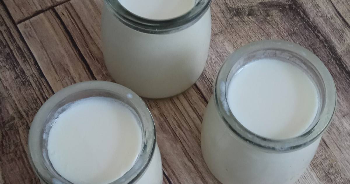 Resep Yogurt Homemade oleh Devalesha Kitchen - Cookpad