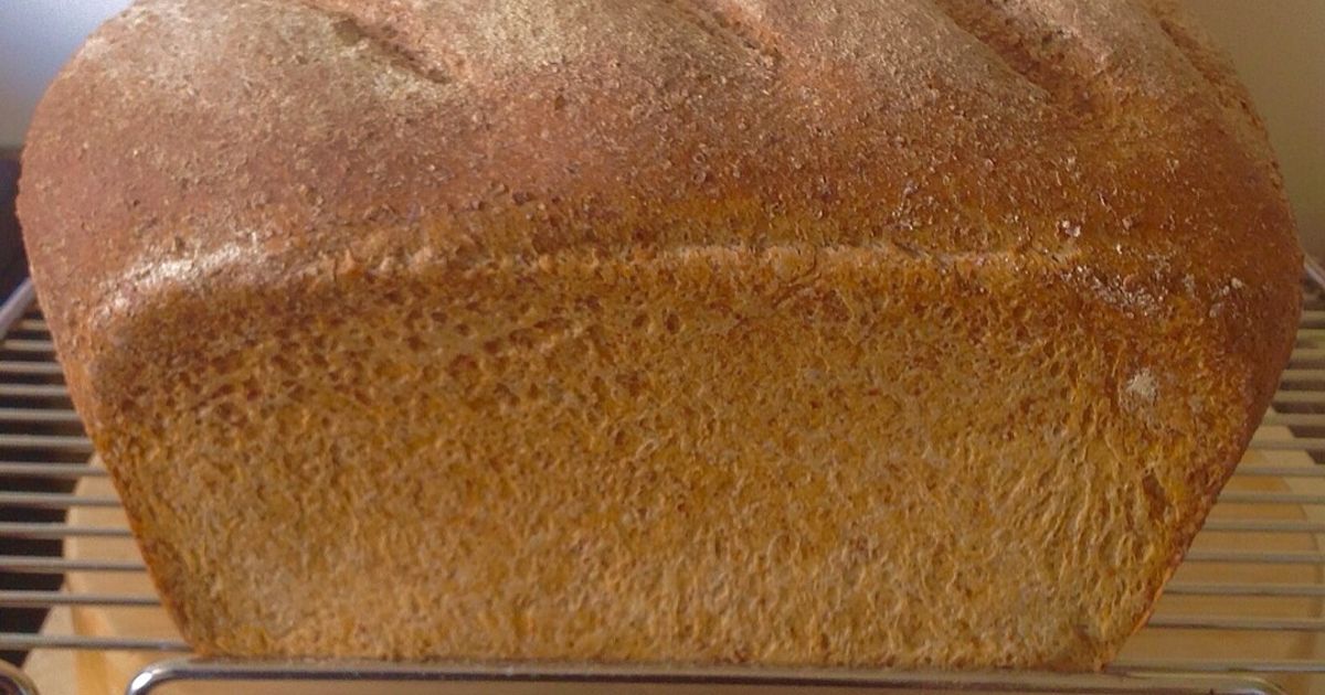 Stone Ground Whole Wheat Artisan Bread Recipe by Mygrave - Cookpad