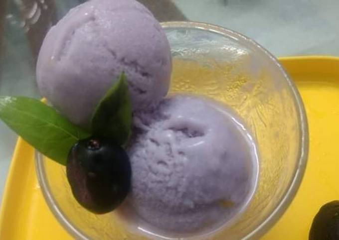 Jamun ice cream Recipe by Priyangi Pujara (Favourite Feast - the veggie ...