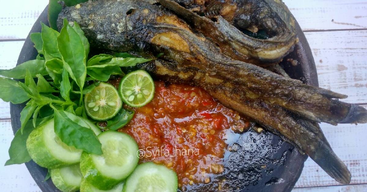 Resep Lele penyet oleh Syifa_hana - Cookpad