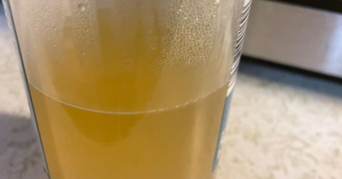 Zero Waste Apple Core Juice Recipe By Elyse Rose
