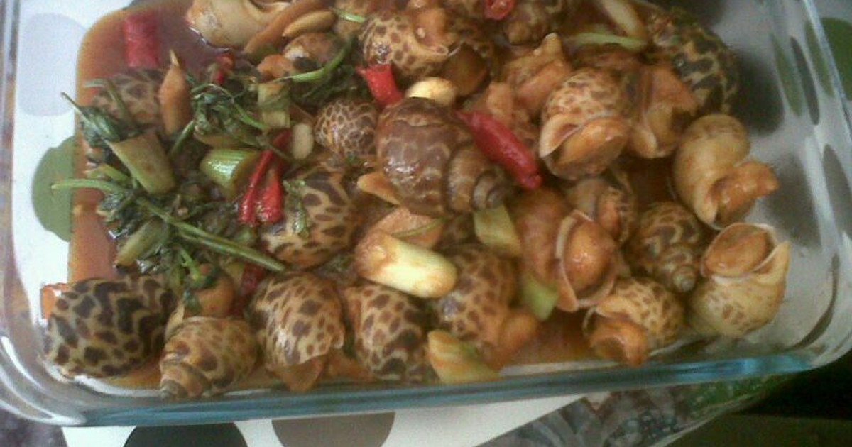 Resep Kerang Macan Saos Padang oleh angelika natasia - Cookpad