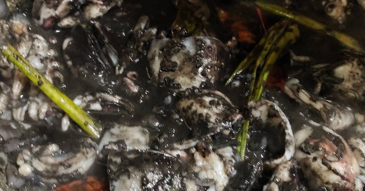 158 resep balakutak cumi cumi enak dan mudah - Cookpad