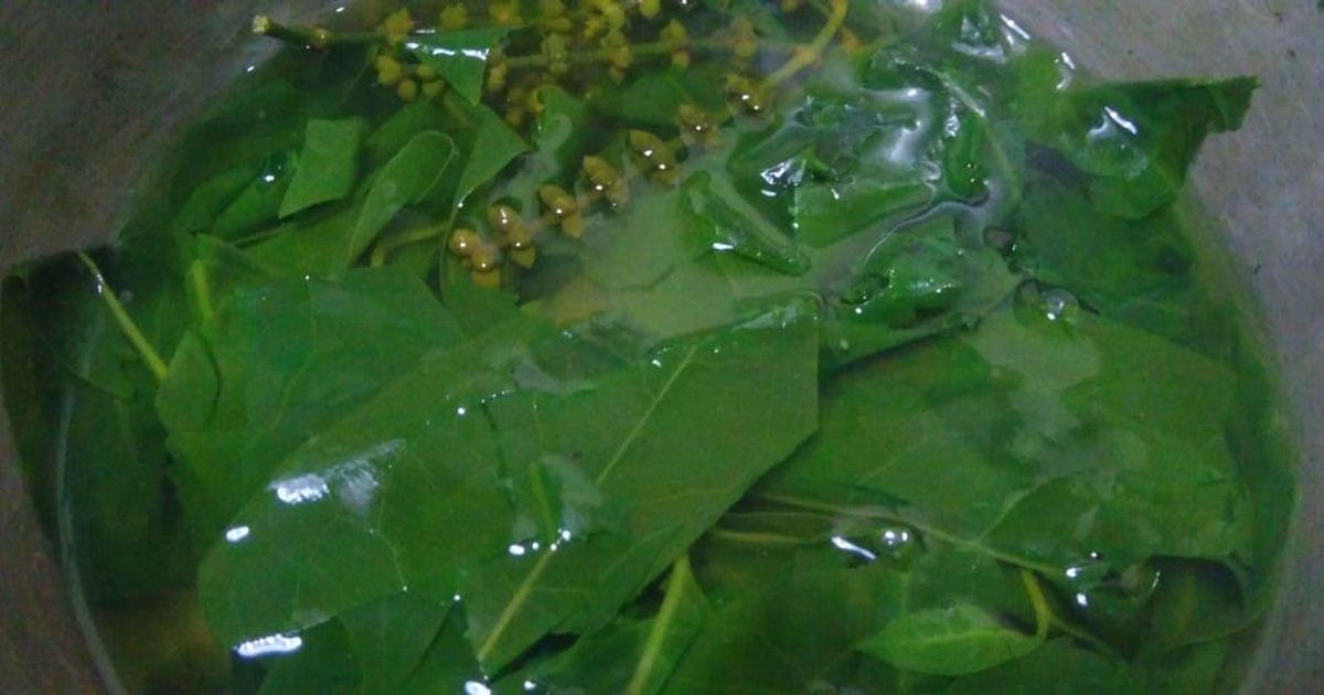 Resep Sayur Bening Daun Melinjo+ Melinjo Yang Belum Jadi oleh Anisa ...