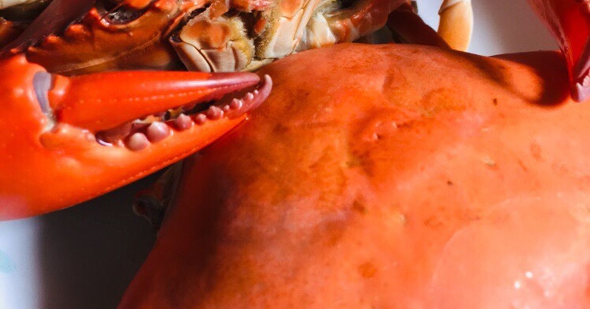 Resep Kepiting Rebus oleh Cia - Cookpad