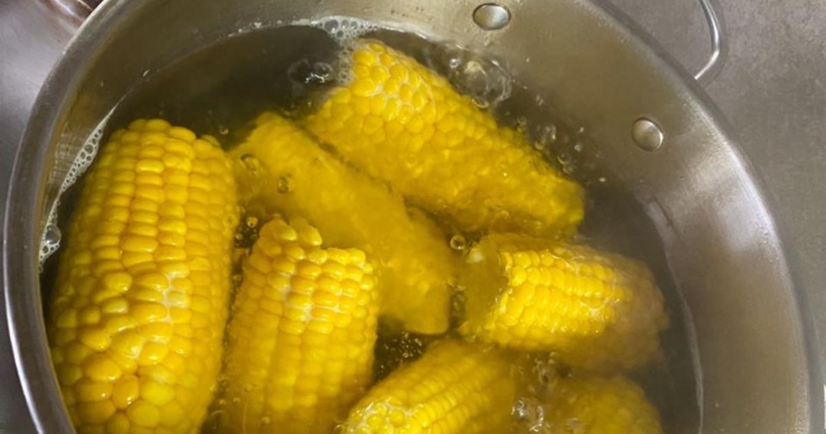 Choclos Cocidos Receta de Sofía Rivera- Cookpad