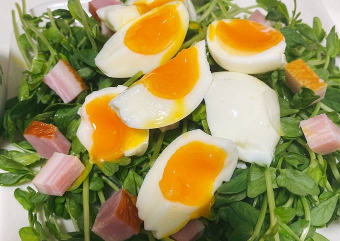 Cách Làm Món Salad rau mầm của Hường Hóng - Cookpad