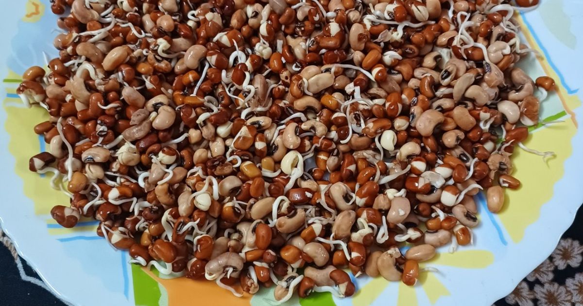 White And Red Cow Peas Or Lobia Sprouts Recipe by ZMA - Cookpad