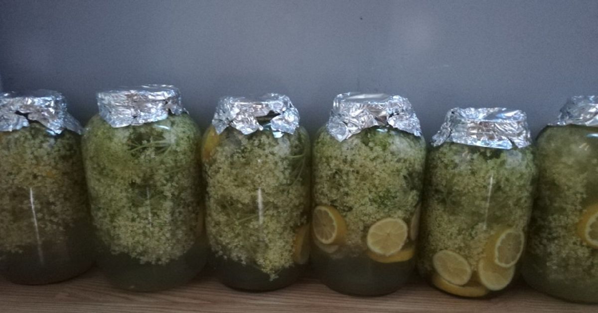 Bodza Ivólé Ahogy Mi Szeretjük | Reni receptje - Cookpad receptek