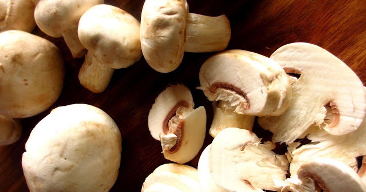 Lazy Days In Coorg And Some Mushroom On Toast Recipe by Gauri Shirke ...