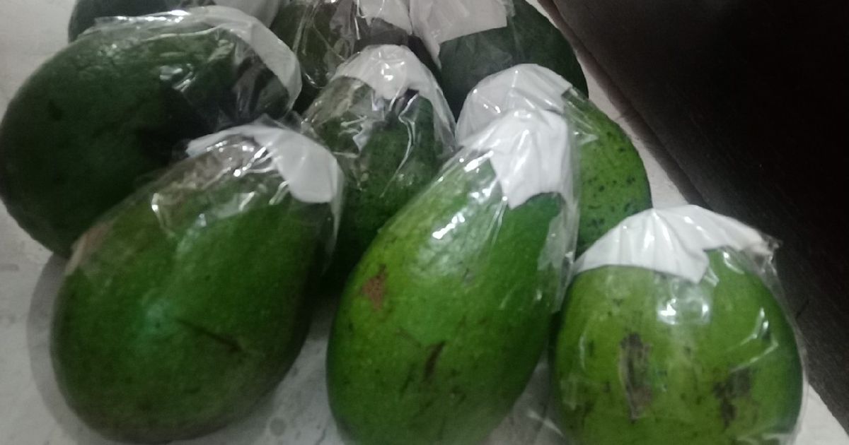 Resep Memeram Alpukat Matang Dan Mulus Sempurna oleh Yayu Maria Ulfah ...