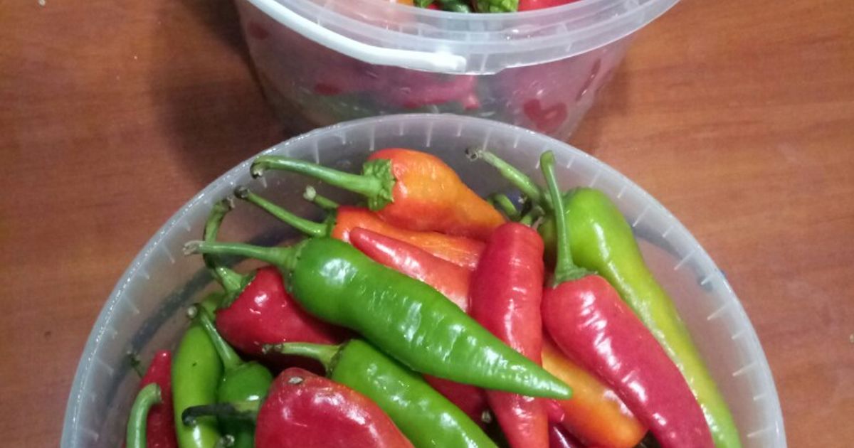 квашений перець. Домашні рецепти - Cookpad