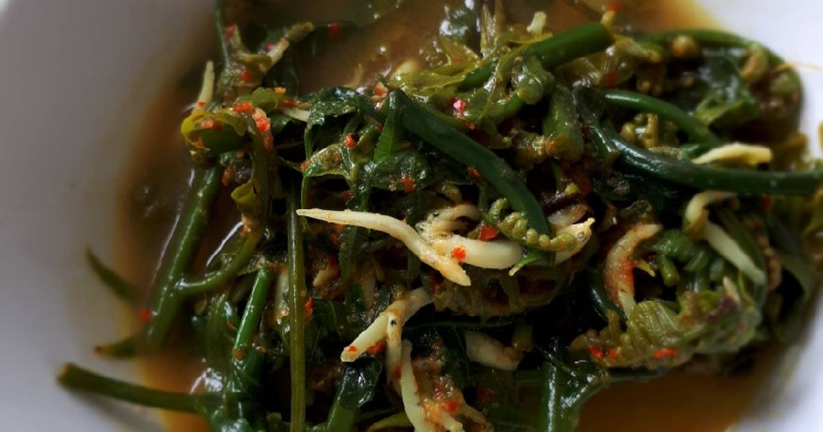 Resep Gulai Pakis oleh Elita Litaa - Cookpad