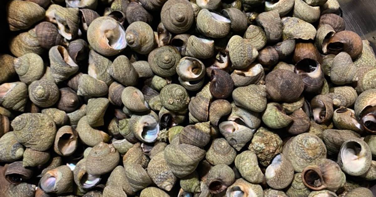 14 recetas muy ricas de caracolillos compartidas por cocineros caseros ...