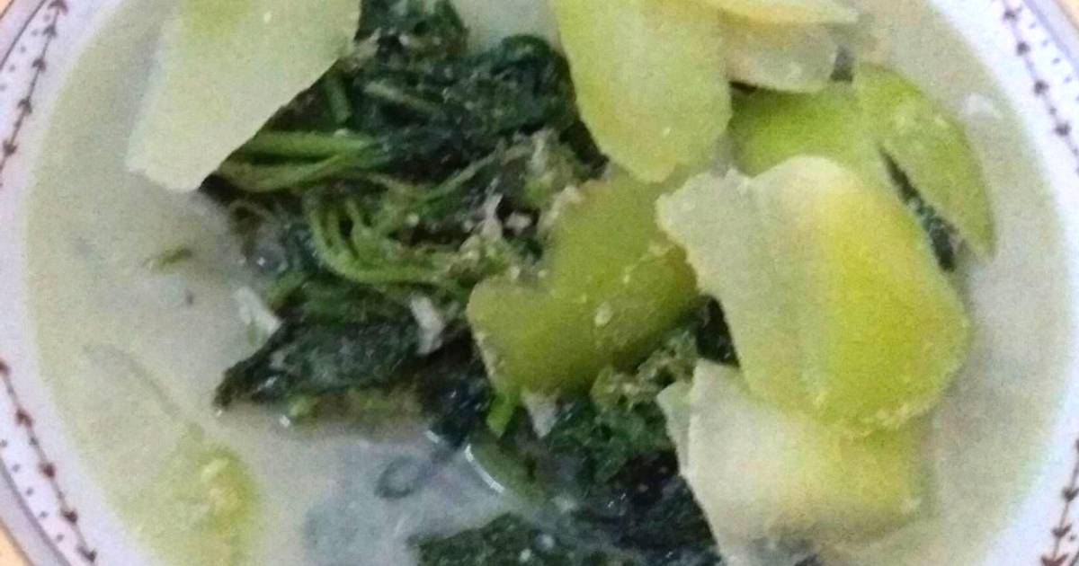 23 resep sayur pepaya muda dan bayam santen enak dan mudah - Cookpad