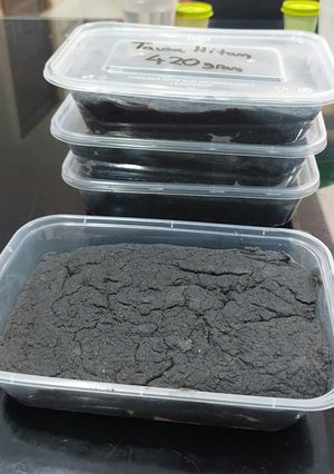 Resep Anabolic Milk Tausa Filling |High Protein, Low Calorie, Sugar ...