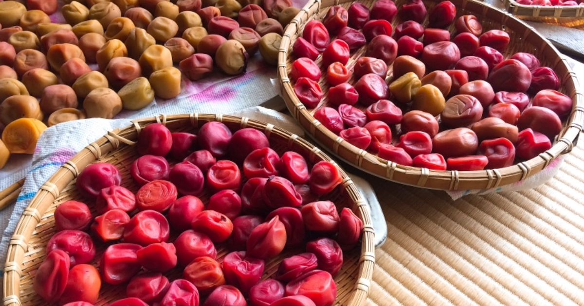 Explore delicious pickled plum recipes for a tangy twist