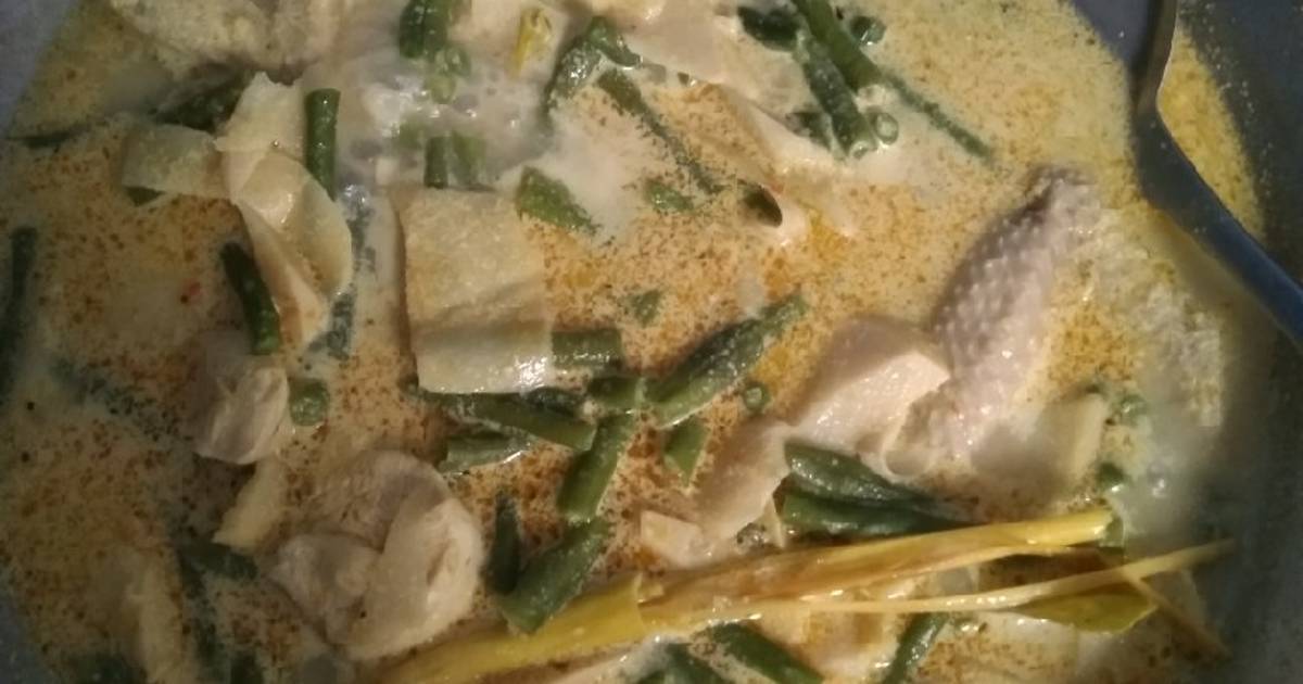 494 resep ayam lodeh kacang panjang enak dan mudah - Cookpad