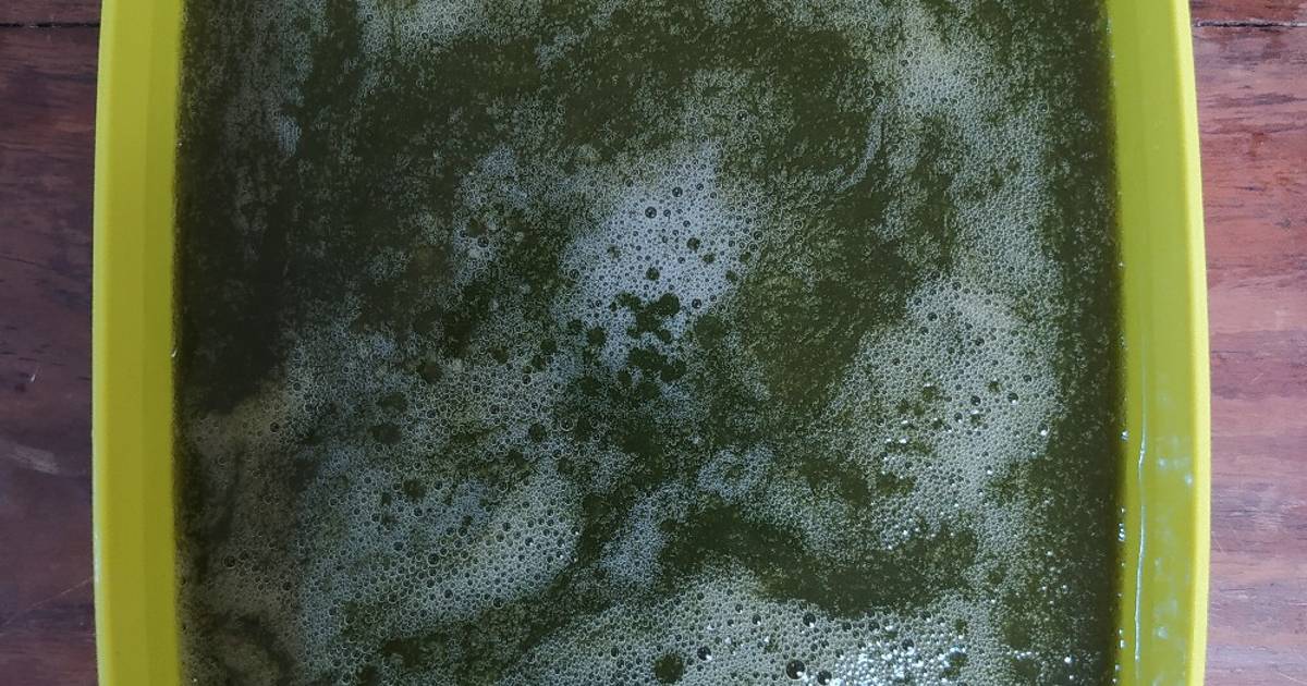 Resep Daluman atau Cincau Jelly Homemade oleh Ifa Hanifah - Cookpad