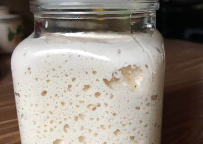 Resep Sourdough/Ragi Alami oleh Arti Jorgenson - Cookpad