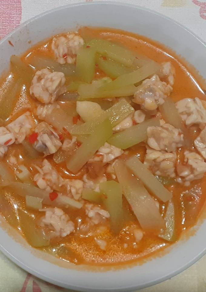 Resep Sayur santan labu sieum tempe oleh Ayati Hernasari ssos mm - Cookpad