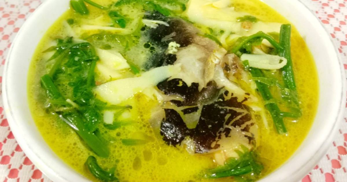 685 Resep Sayur Pakis Enak Dan Sederhana Cookpad