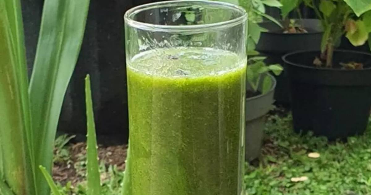 65 resep olahan selada keriting hijau enak dan mudah - Cookpad