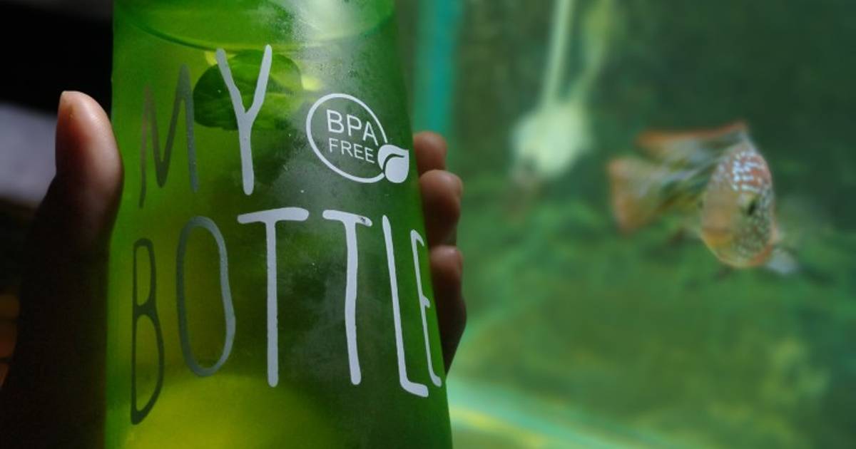 Resep Infus water jeruk nipis madu dan daun mint oleh Bunda Rey - Cookpad