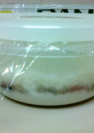 Burong Isda (Fermented Rice With Fish) Recipe By Lance Ansong