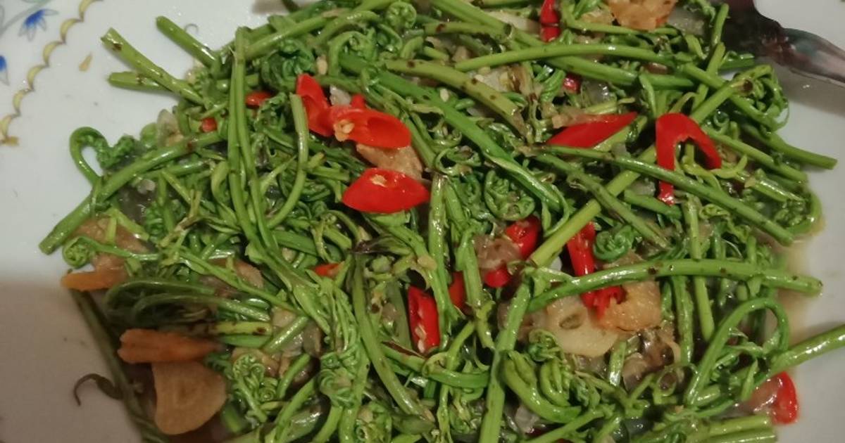 19 resep tumis pucuk paku pakis enak dan sederhana ala rumahan - Cookpad